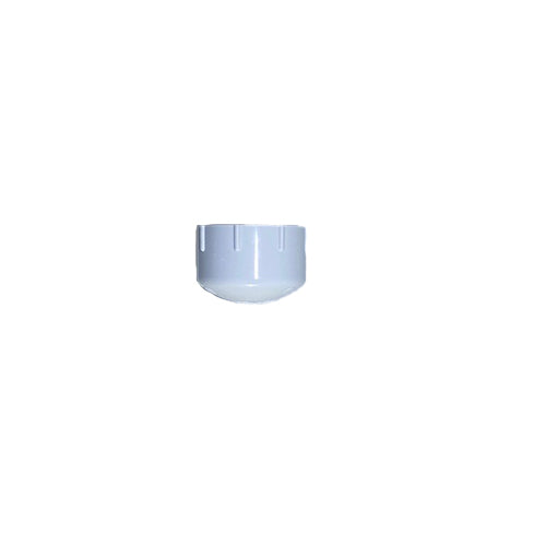 Pentair 154871 1.5" Threaded Cap – YourPoolStore.com