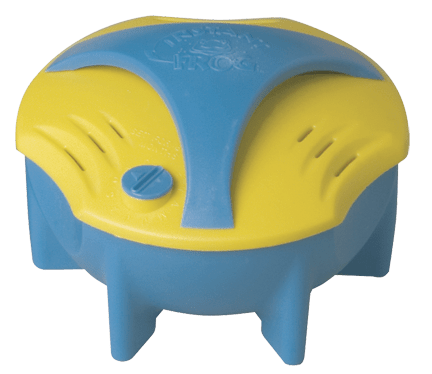 Instant FROG® Mineral Sanitizer – YourPoolStore.com